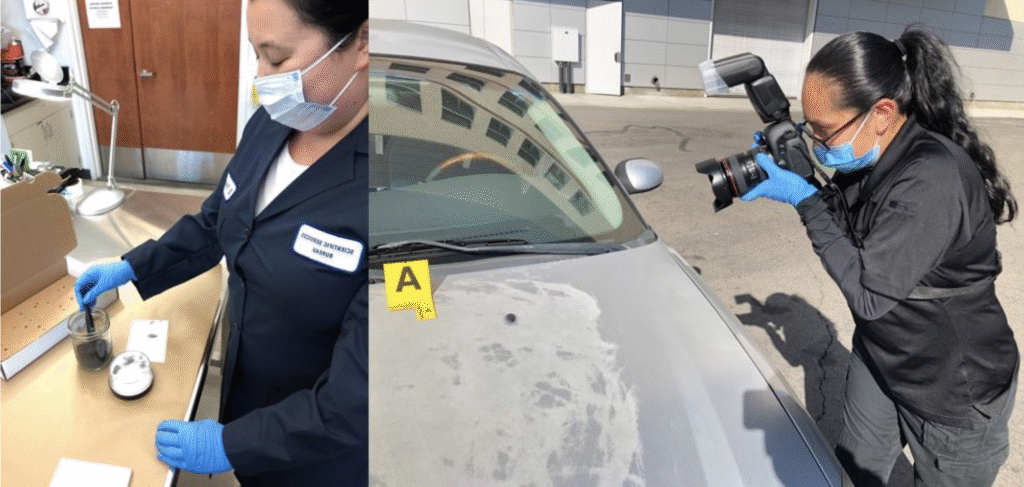 Justice Delayed, Justice Denied: Inside the Collapse of LASD’s Crime ...